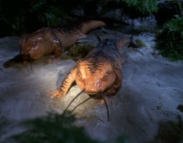 Retro TV Review: Star Trek Voyager SSN 2 Episode Fifteen:Threshold ...