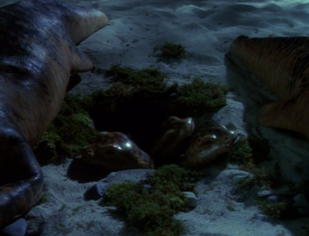 Retro TV Review: Star Trek Voyager SSN 2 Episode Fifteen:Threshold ...